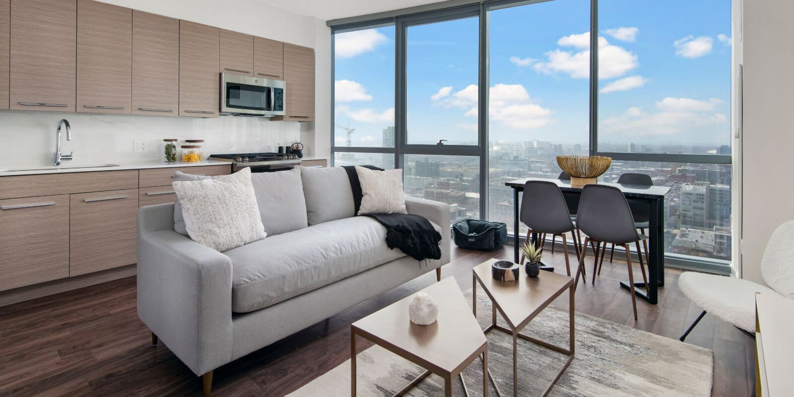 Photo Gallery | Luxury West Loop Apartments | 727 West Madison ...